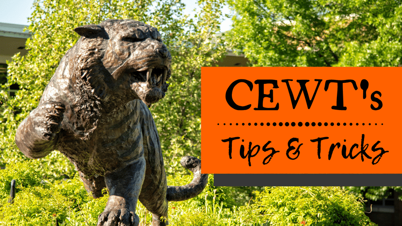 'CEWT' Tips for the New School Year