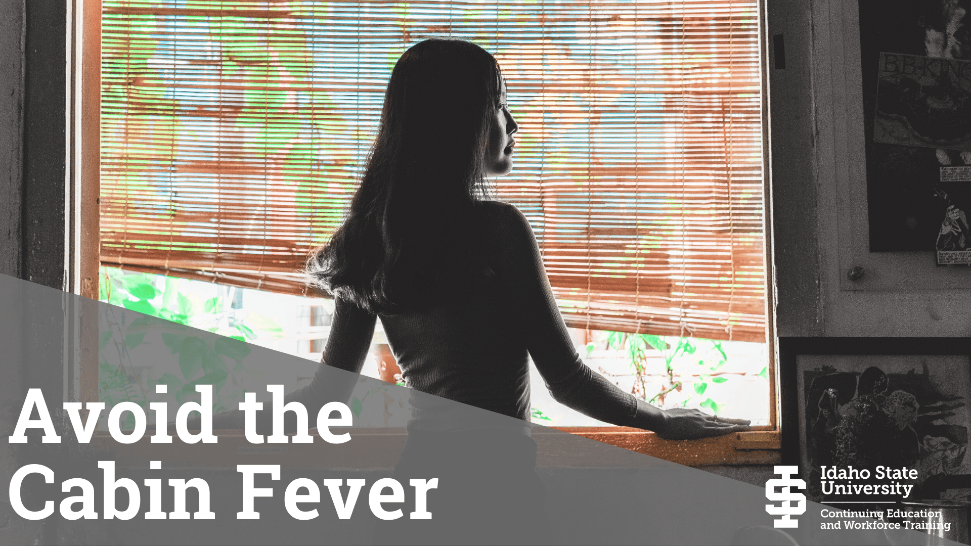 Avoid The Cabin Fever: Things To Do in Quarantine