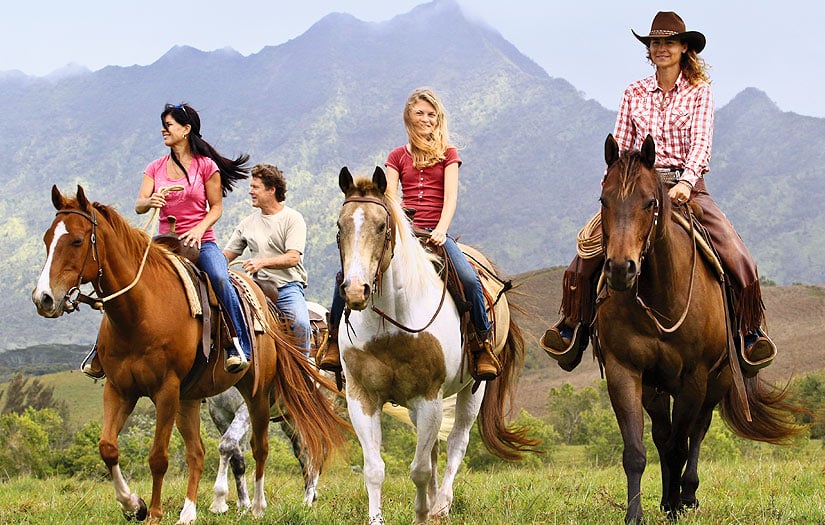 3 Reasons Why You Need To Be Riding A Horse